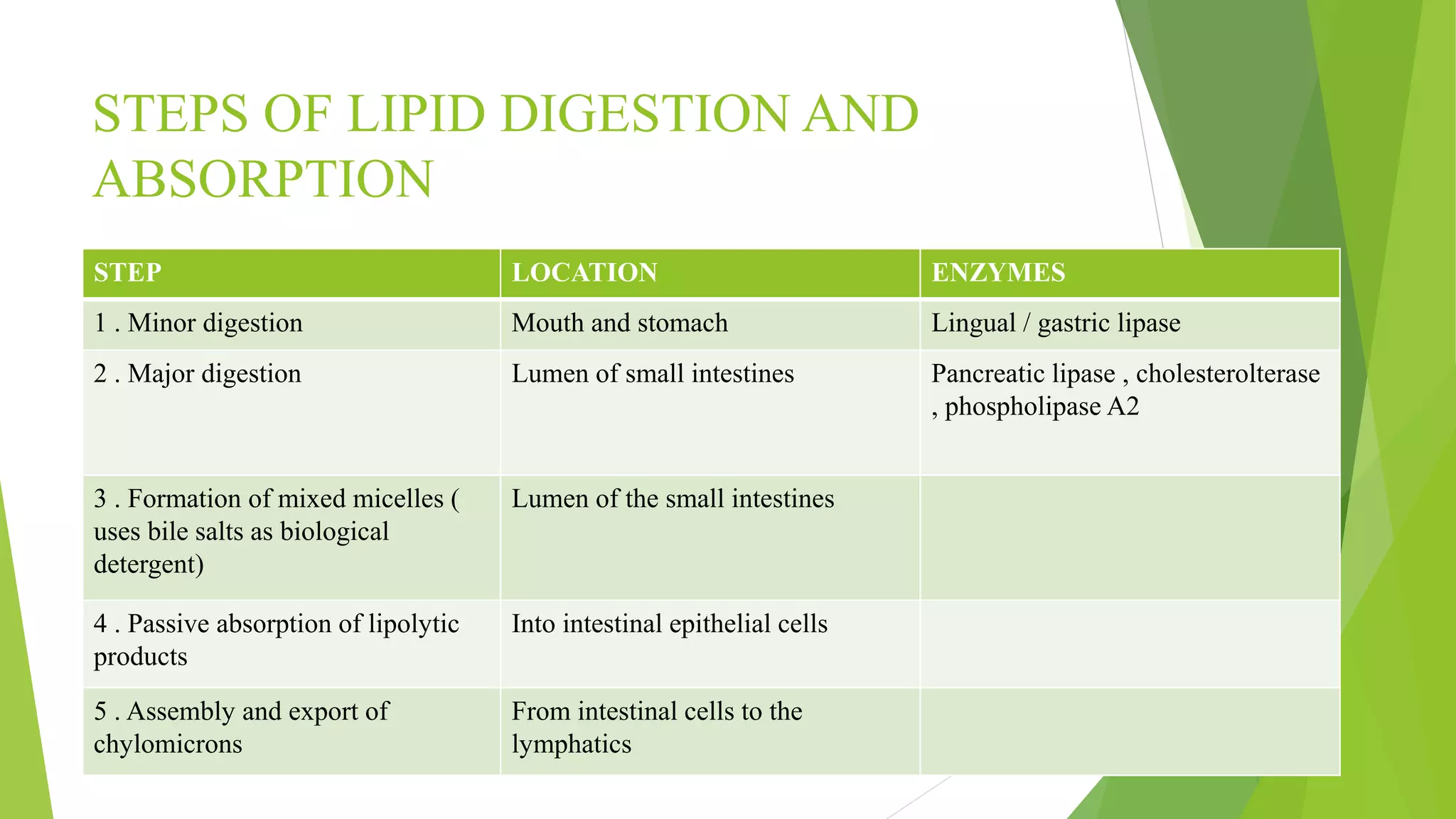 LIPID METABOLISM.pptx