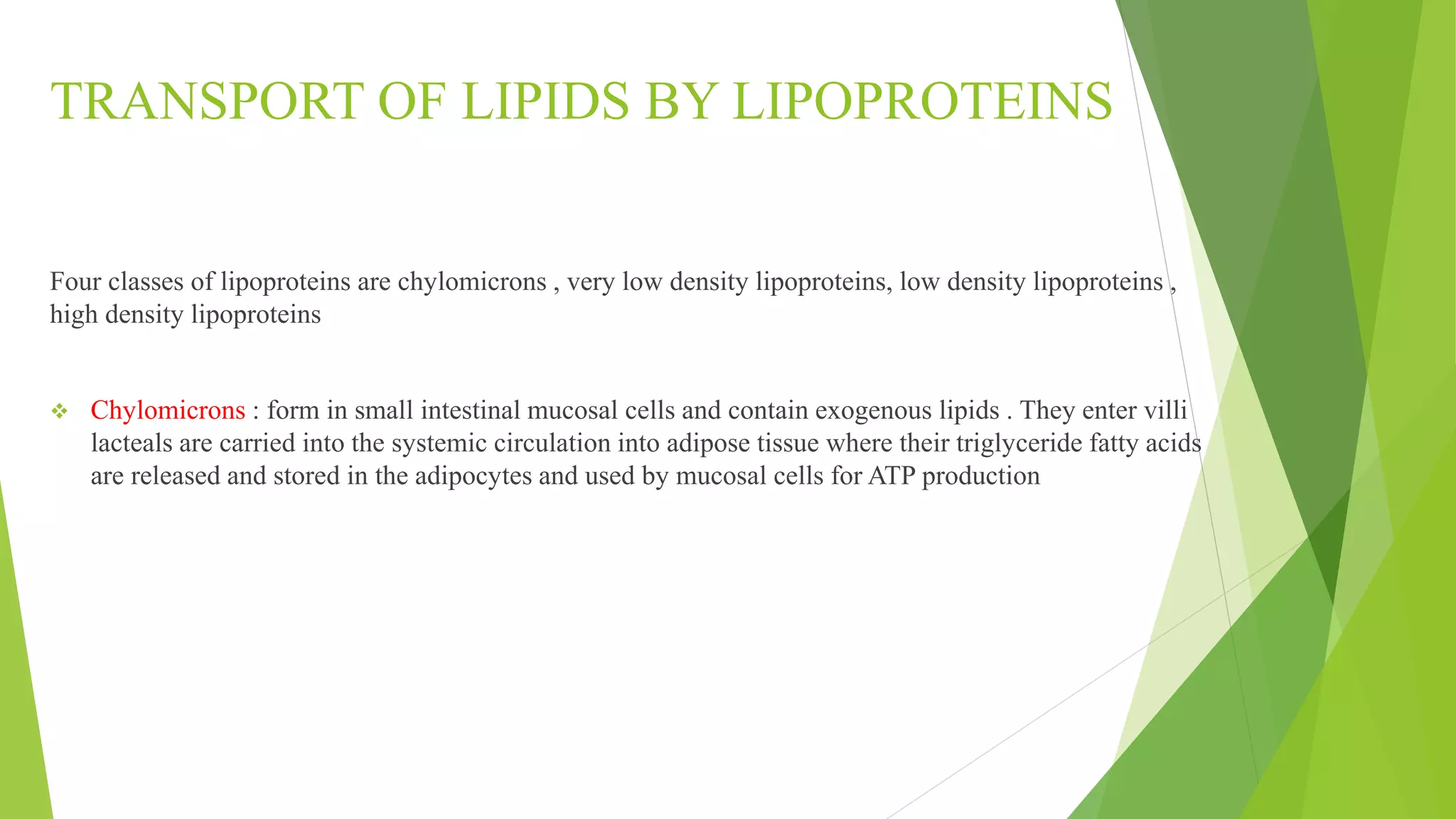 LIPID METABOLISM.pptx