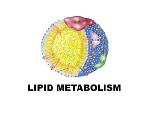 lipid metabolism.pptx