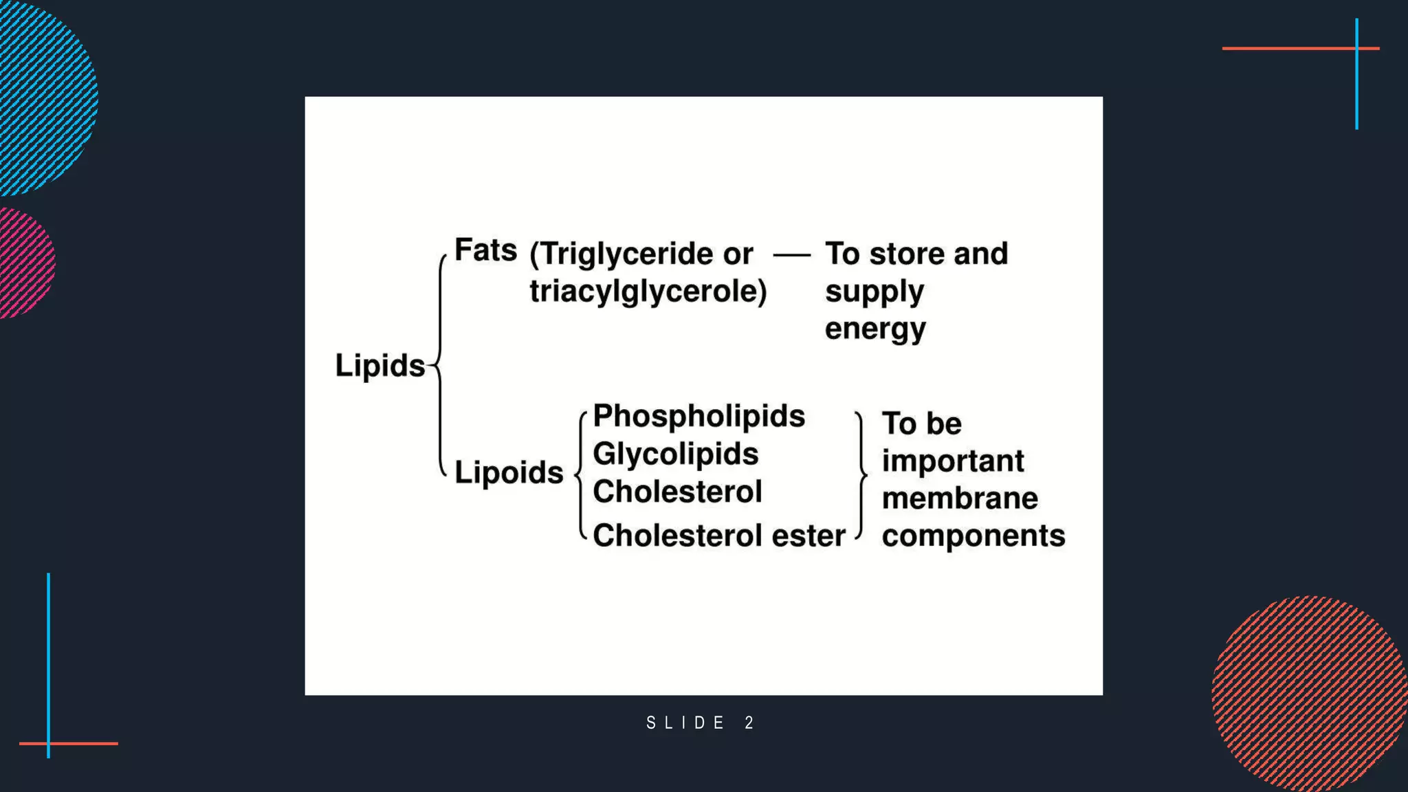 Lipid Metabolism.pptx