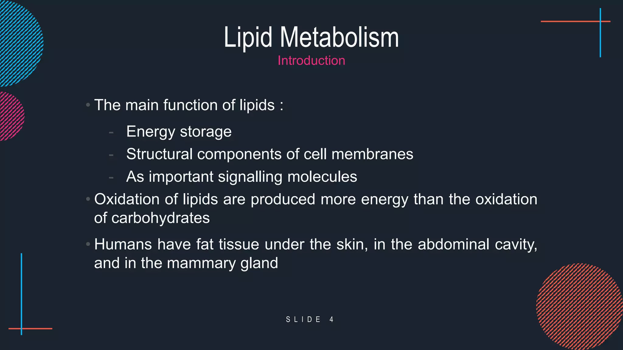Lipid Metabolism.pptx
