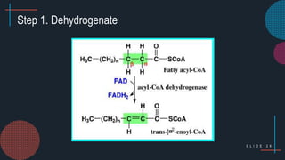 Lipid Metabolism.pptx