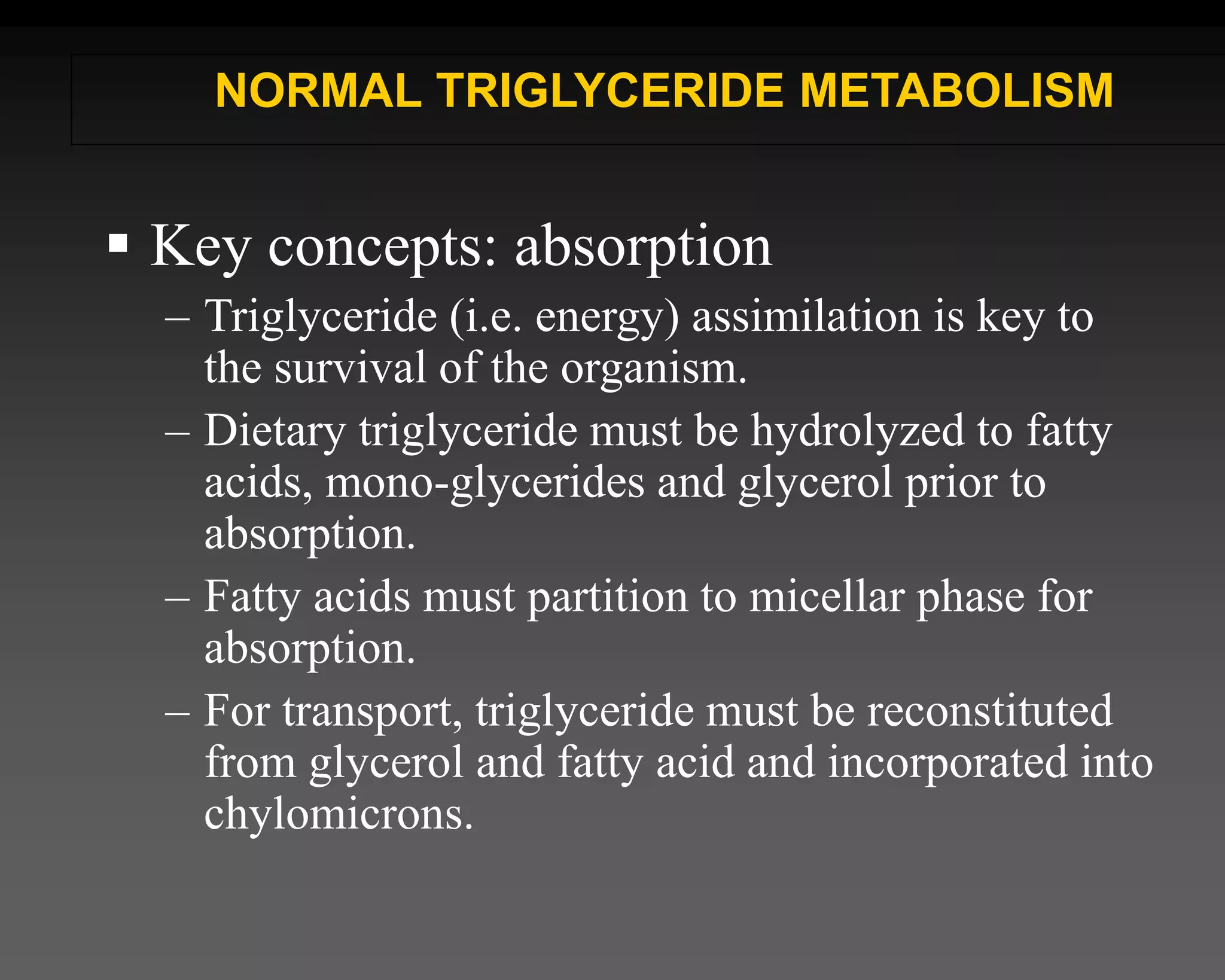 lipid_metabolism.ppt