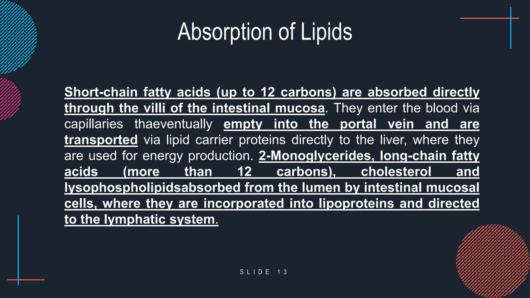 Lipid Metabolism.pptx