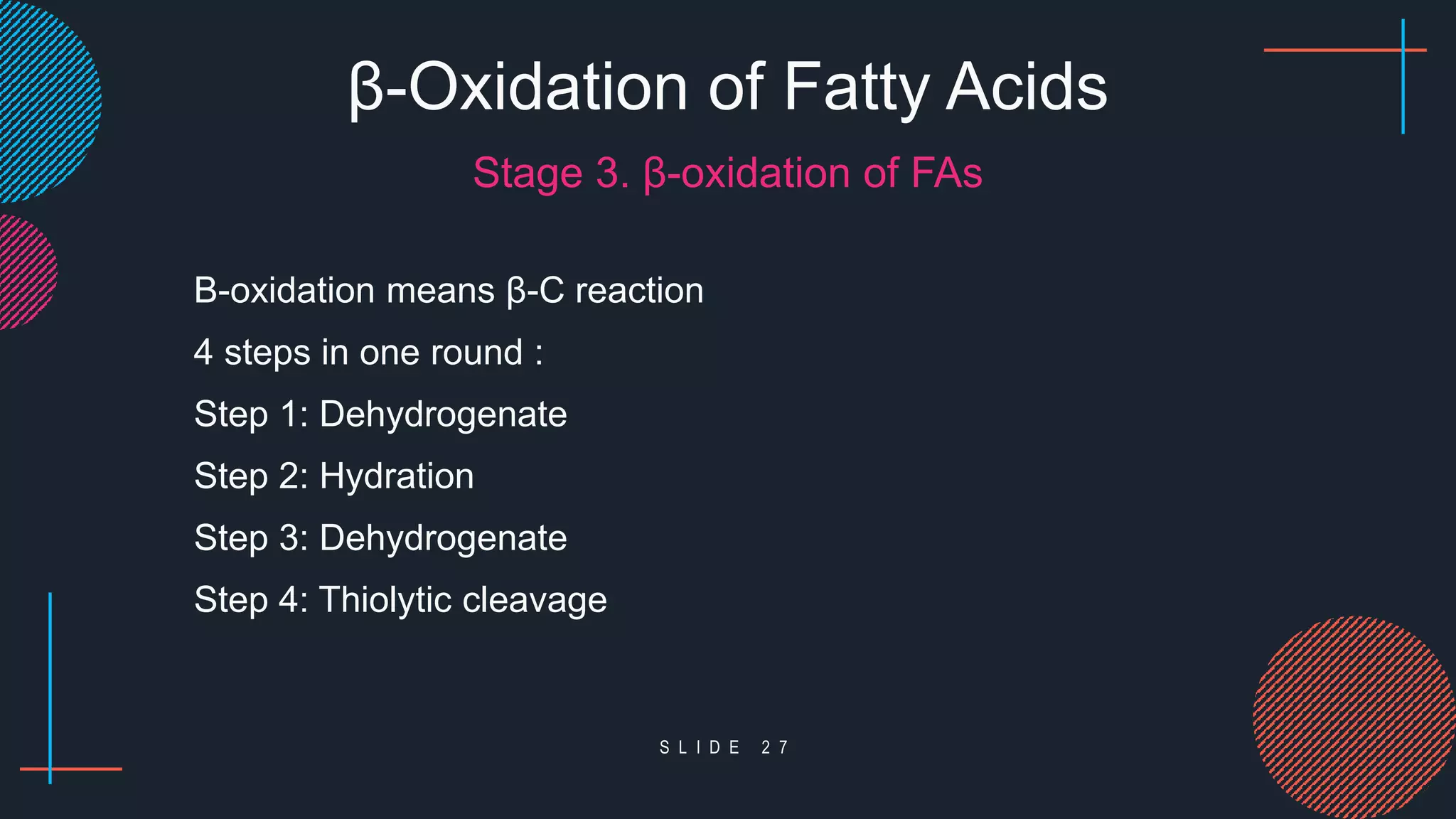 Lipid Metabolism.pptx