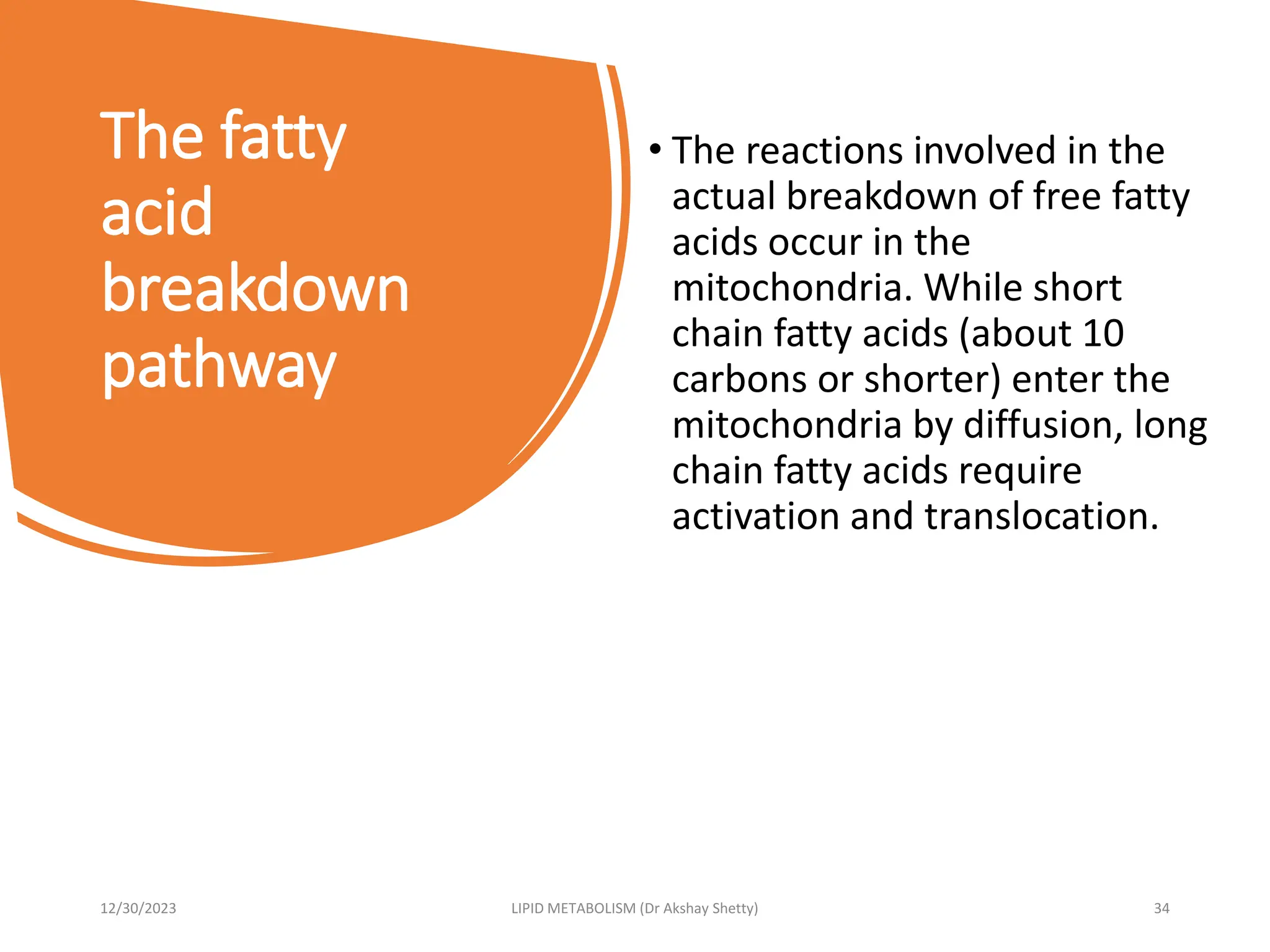 Lipid metabolism/Fat metabolism.pptx by Dr Akshay | PPTX
