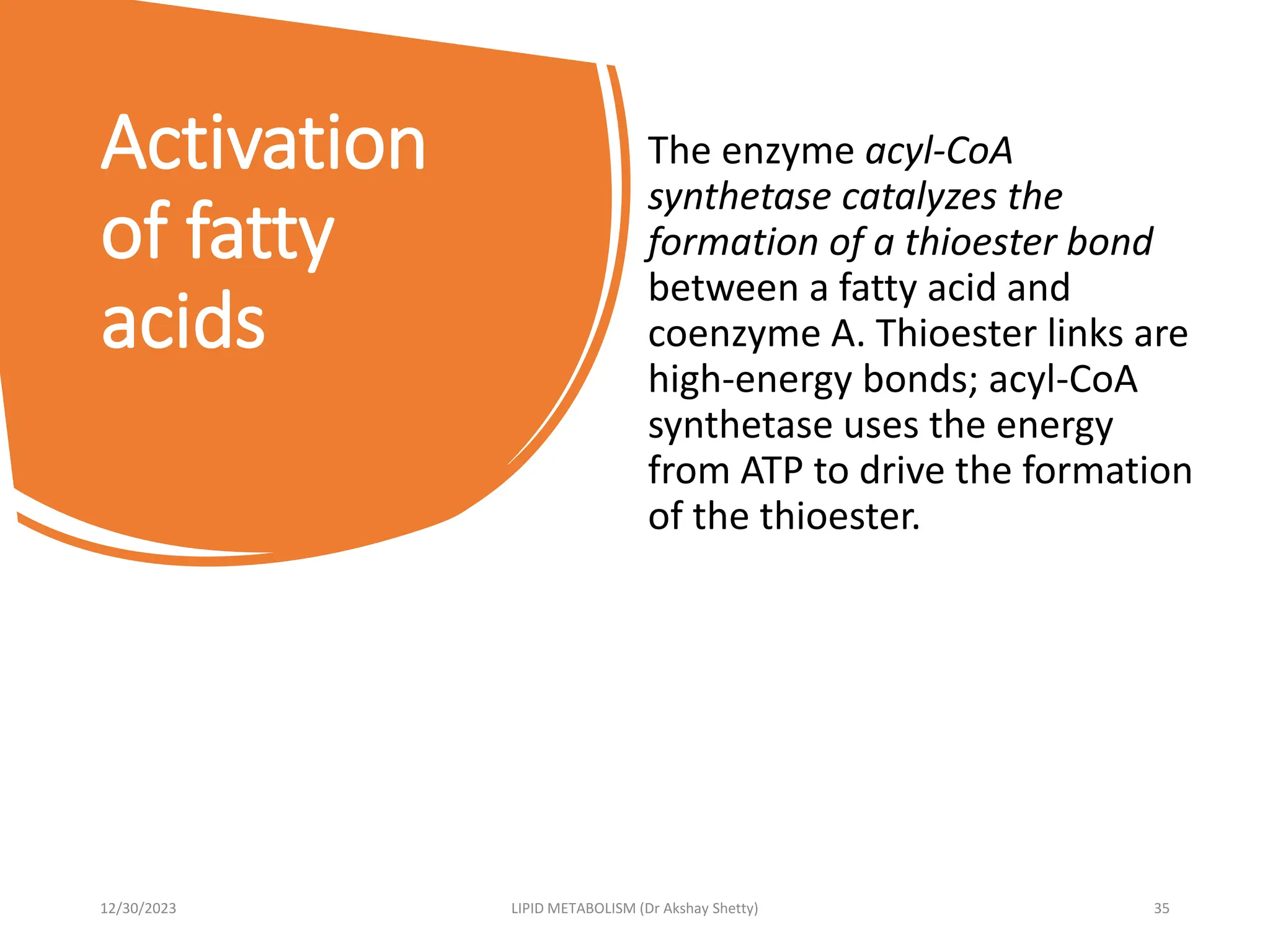 Lipid metabolism/Fat metabolism.pptx by Dr Akshay | PPTX