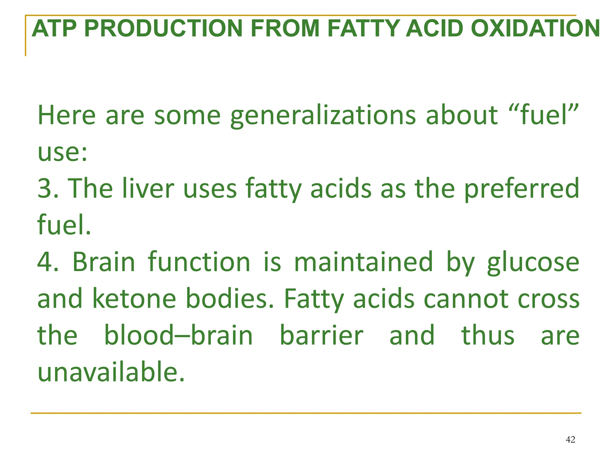 Lipid Metabolism.pdf