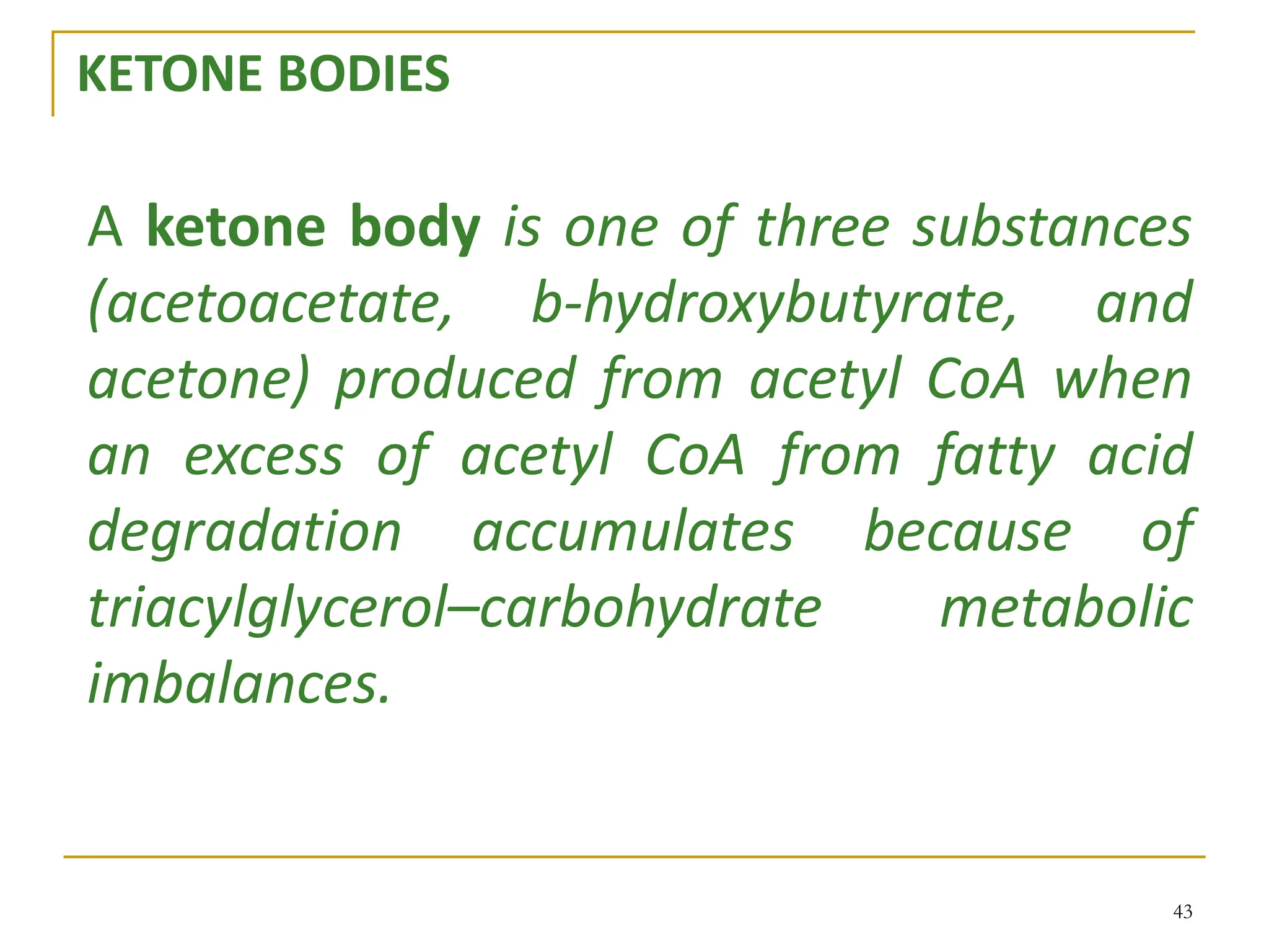 Lipid Metabolism.pdf