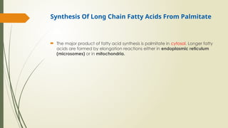 Lipid metabolism by Niazi Medical and Dental College.pptx | Endocrine ...