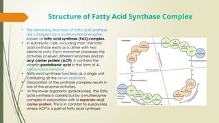 Lipid metabolism by Niazi Medical and Dental College.pptx | Endocrine ...