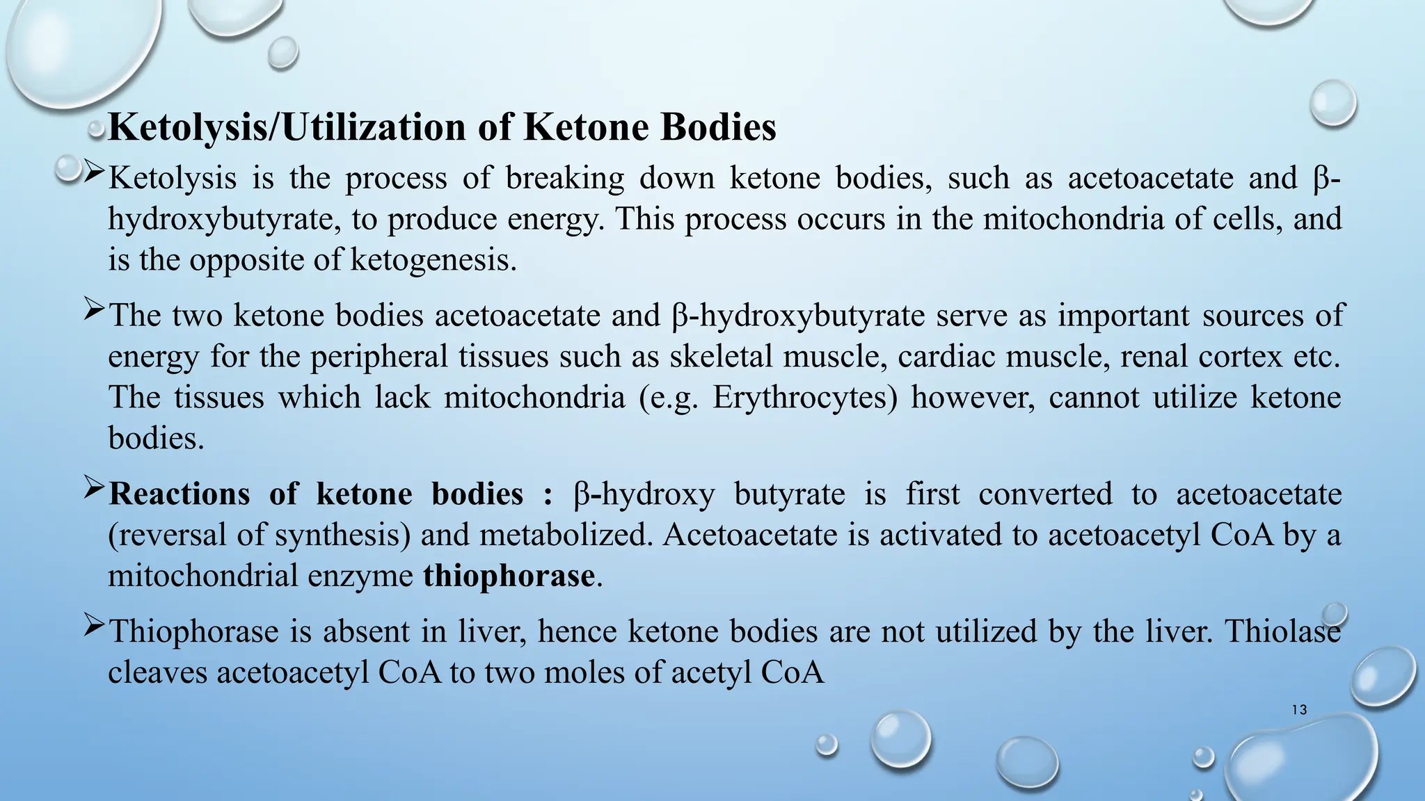Lipid Metabolism, Beta Oxidation, De Novo Synthesis, Biochemistry, B ...