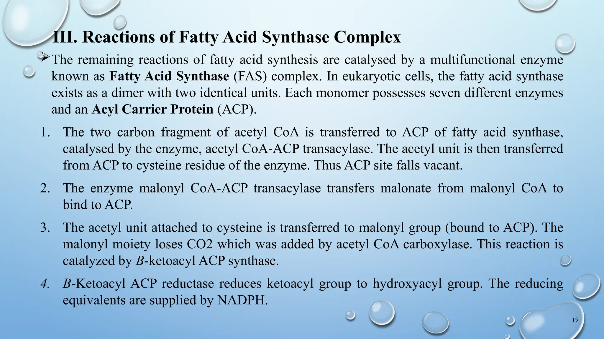 Lipid Metabolism, Beta Oxidation, De Novo Synthesis, Biochemistry, B ...