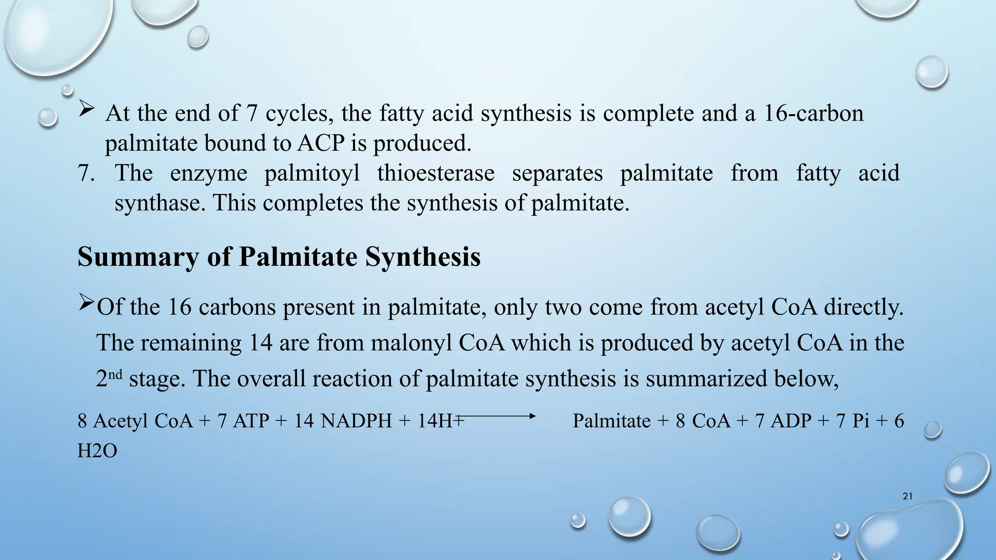 Lipid Metabolism, Beta Oxidation, De Novo Synthesis, Biochemistry, B ...