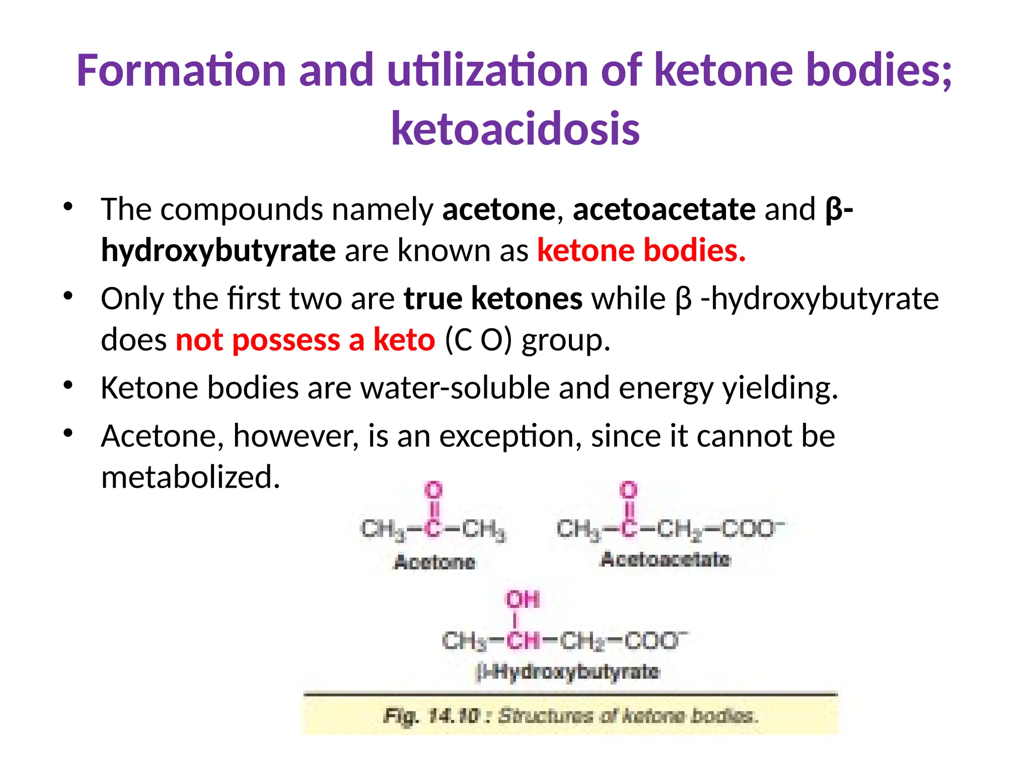 lipid metabolism and its significance- β-Oxidation, | PPTX