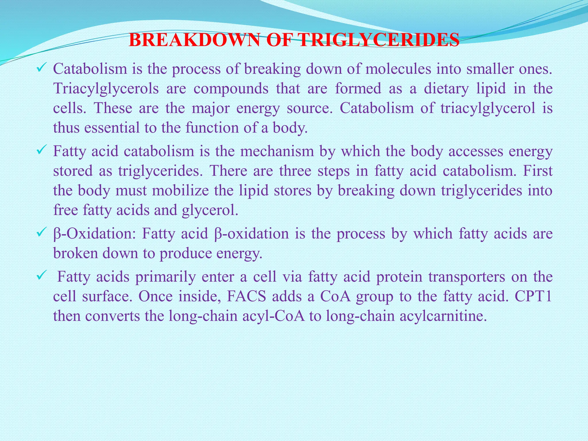 Lipid Metabolism-Lipolysis, Lipid synthesis, Beta Oxidation of Fatty ...