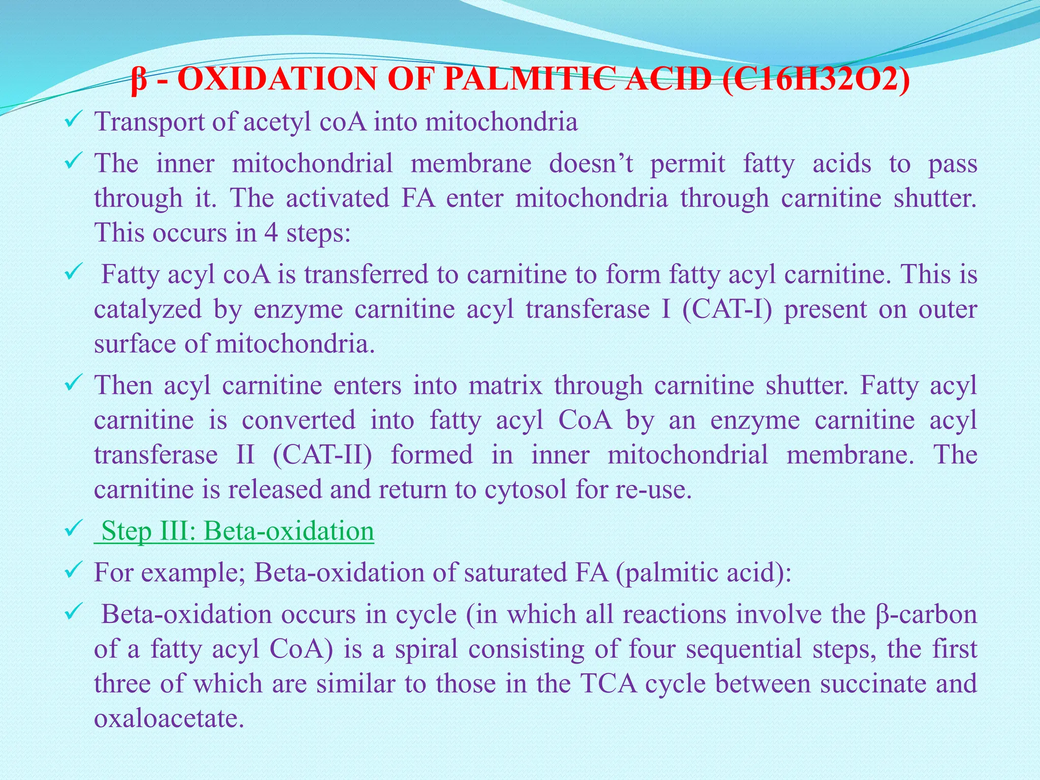 Lipid Metabolism-Lipolysis, Lipid synthesis, Beta Oxidation of Fatty ...