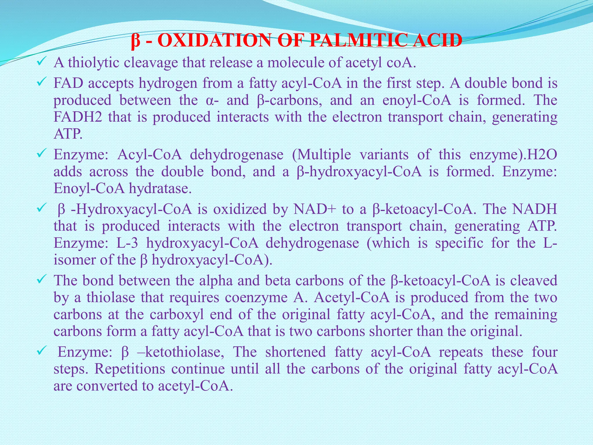 Lipid Metabolism-Lipolysis, Lipid synthesis, Beta Oxidation of Fatty ...