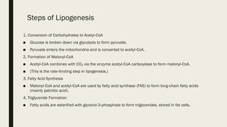 lipid metabolism.ppt in biochemistry for presentation | PPTX