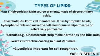 LIPID METABOLISM IN BIOCHEMISTRY FOR NURSING STUDENTS | PDF