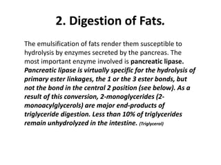 Lipid metabolism | PPTX