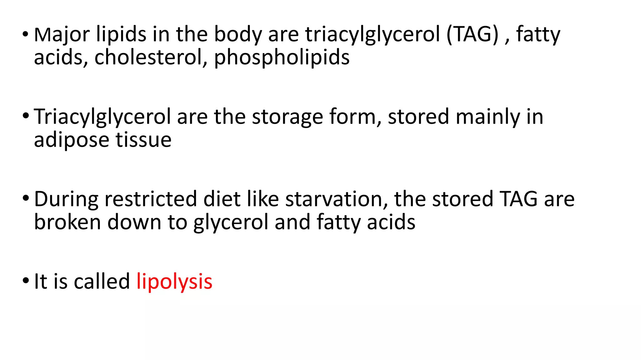Lipid metabolism-bpt.pptx