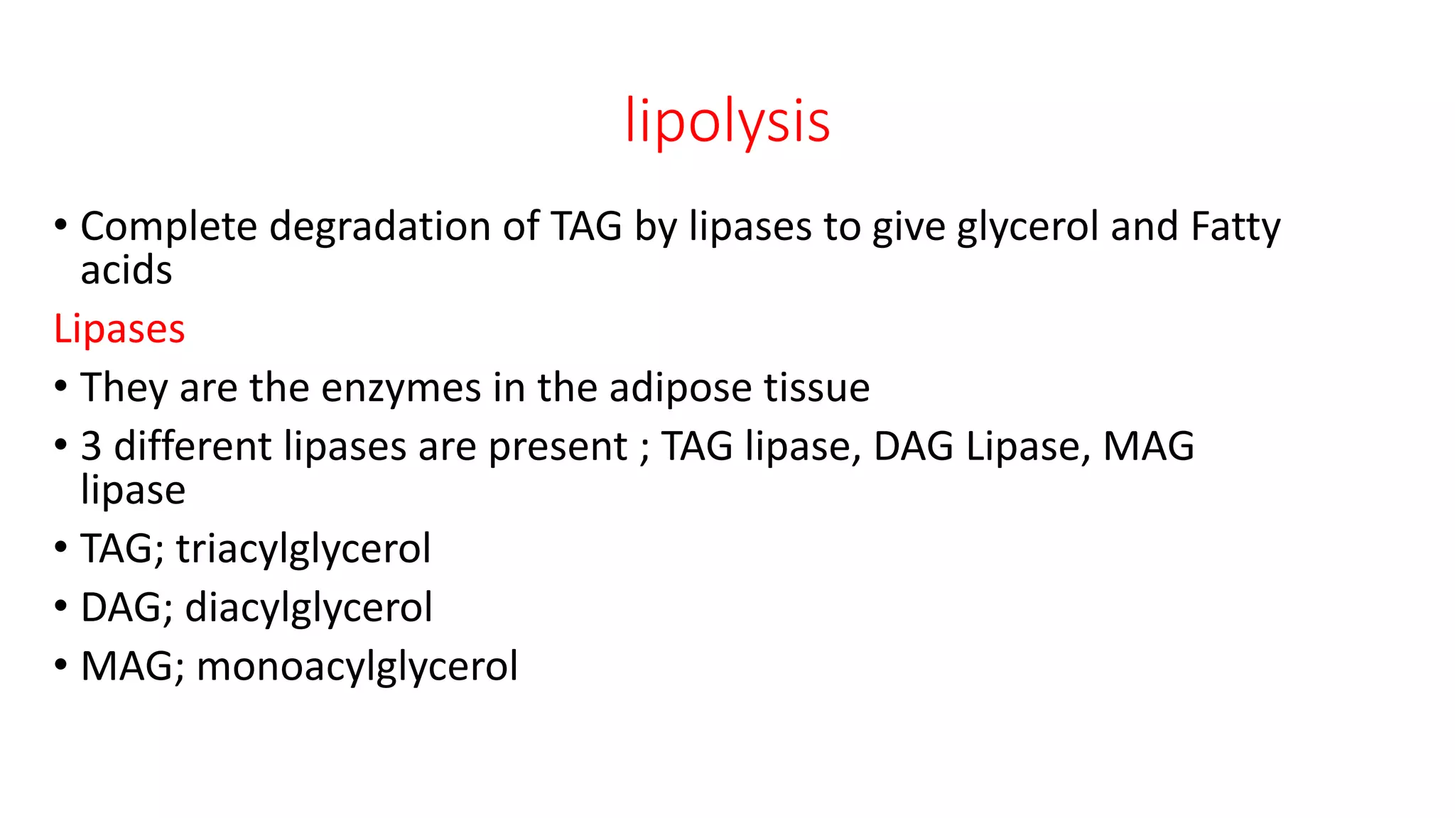 Lipid metabolism-bpt.pptx