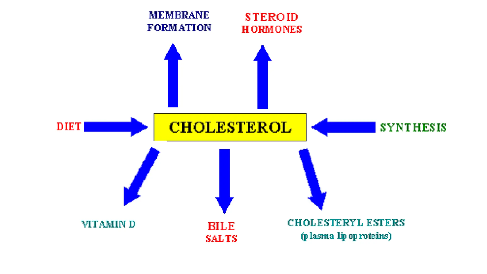 LIPID METABOLISM-CHOLESTROL METABOLISM.pdf | Chemistry | Science