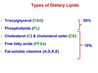 Lipid Metabolism-Dentistry -Complete - Alex -Dr Ayman Barghash- 2015 ...
