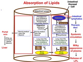 Lipid Metabolism-Dentistry -Complete - Alex -Dr Ayman Barghash- 2015 ...