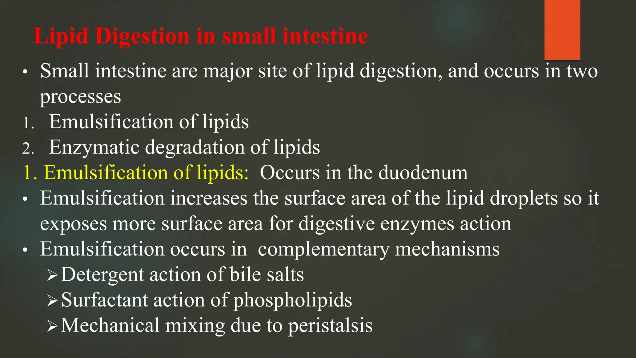 lipid metabolism - Digestion and absorption of lipids.pdf