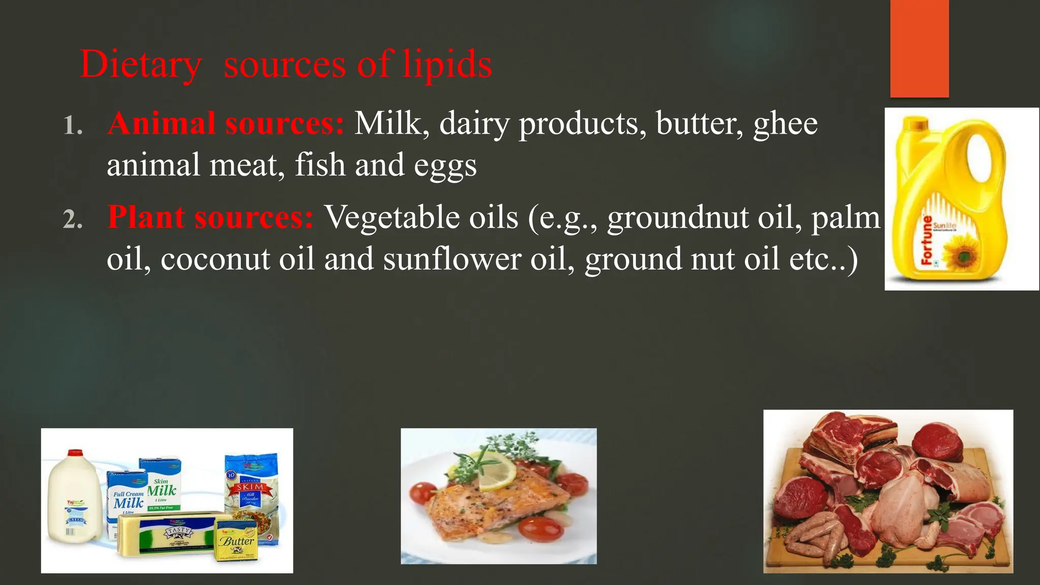 lipid metabolism - Digestion and absorption of lipids.pdf