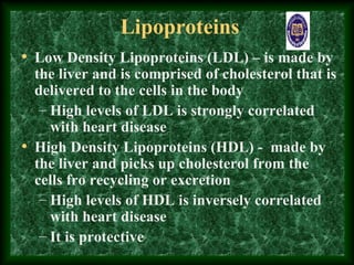 Lipid metabolism1 | PPT