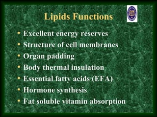 Lipid metabolism1 | PPT