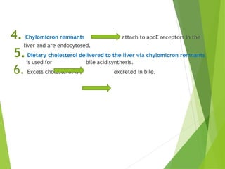 Lipid metabolism | PPTX