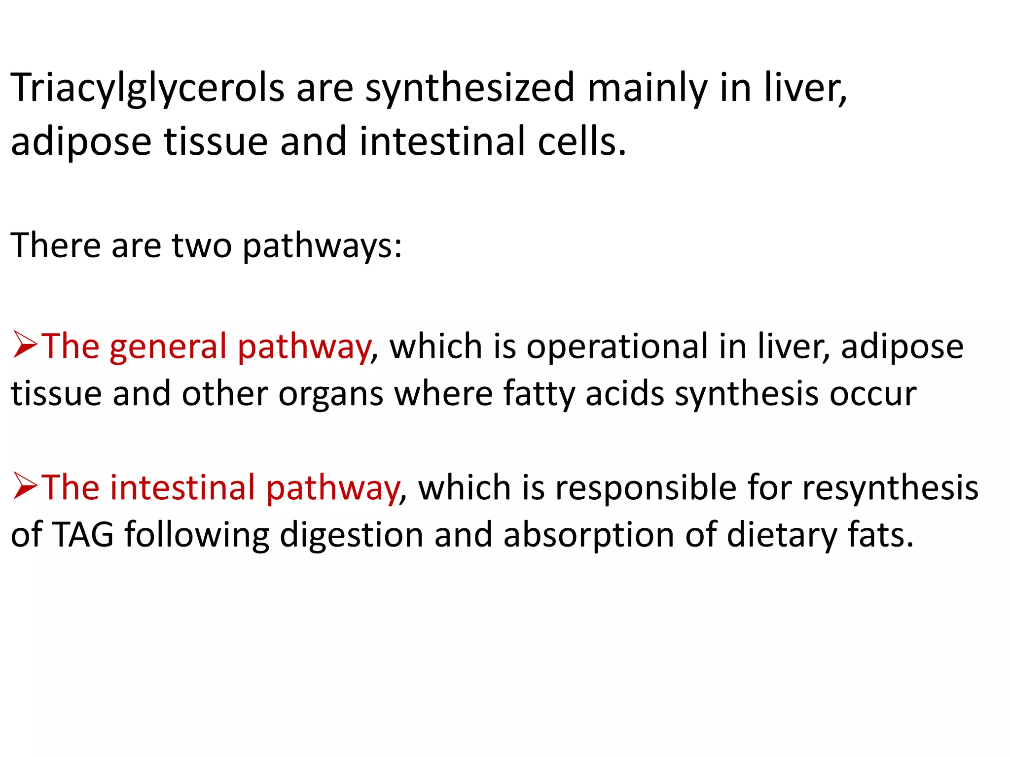 lipid metabolism2.ppt