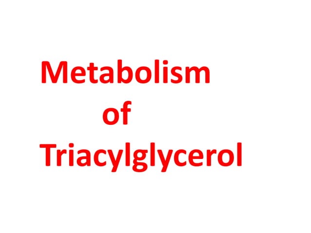 lipid metabolism2.ppt