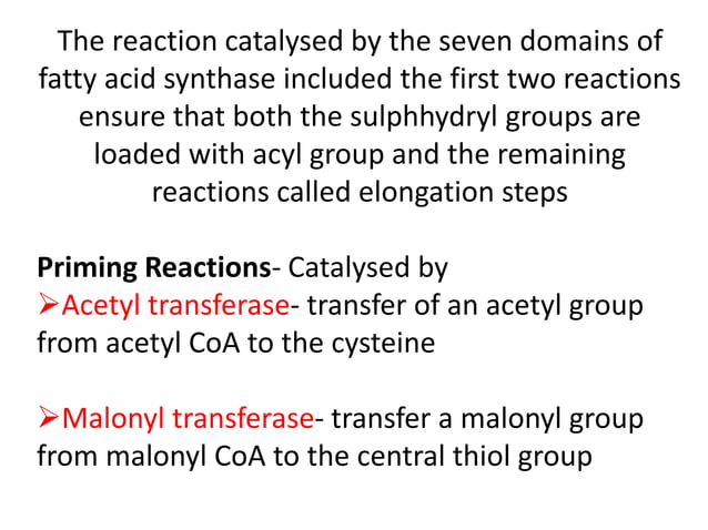 lipid metabolism2.ppt