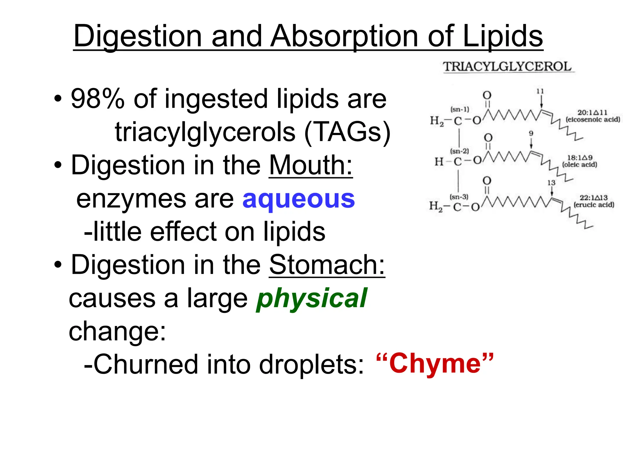 introduction to lipid Digestion and metabolism | PPT