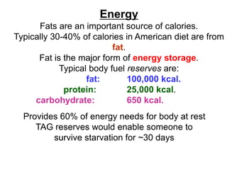 introduction to lipid Digestion and metabolism | PPT