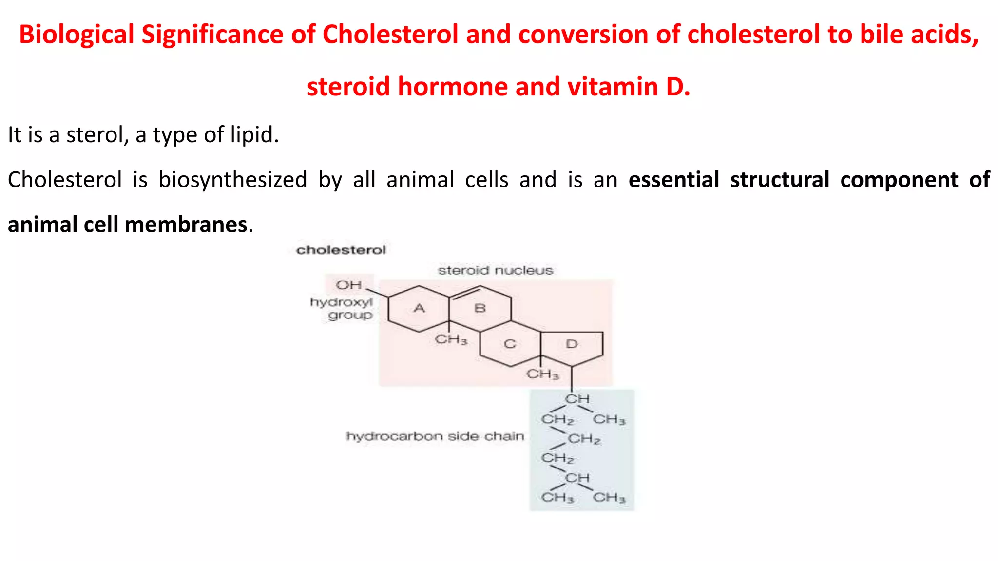 lipid_metabolism_by_bk_sir[1].pptx