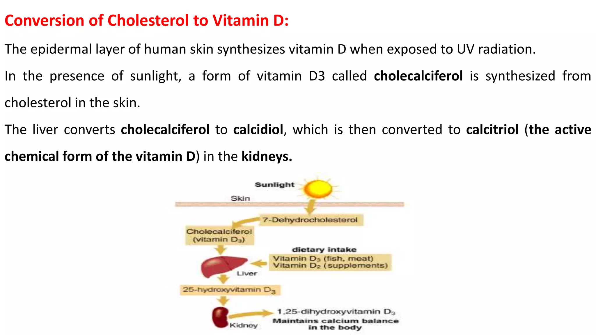 lipid_metabolism_by_bk_sir[1].pptx