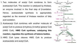lipid_metabolism_by_bk_sir[1].pptx