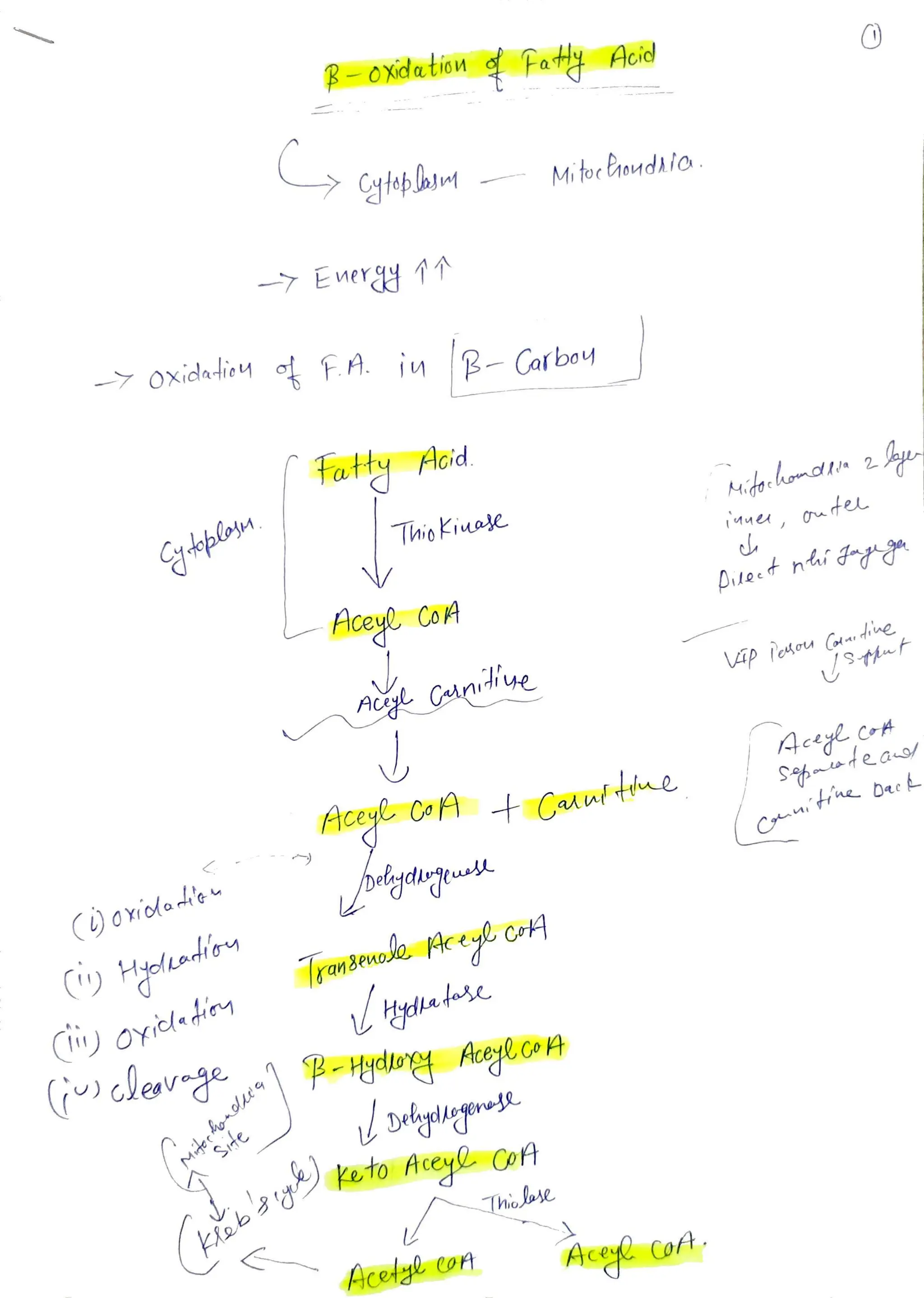 Lipid metabolism (Dr. Jagroop Sidhu).pdf