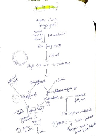 Lipid metabolism (Dr. Jagroop Sidhu).pdf