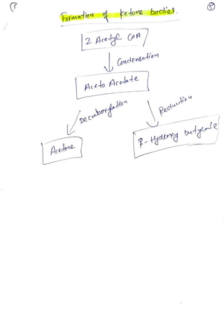 Lipid metabolism (Dr. Jagroop Sidhu).pdf