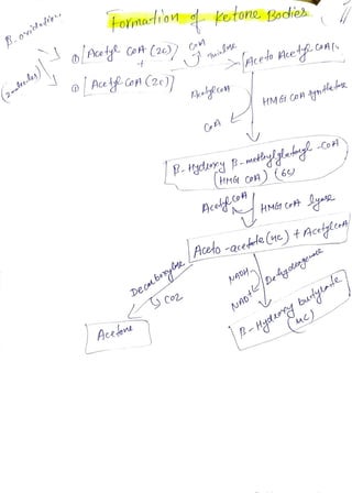 Lipid metabolism (Dr. Jagroop Sidhu).pdf