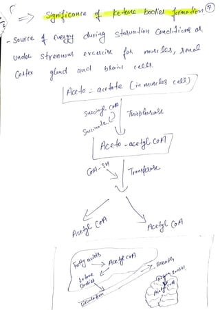 Lipid metabolism (Dr. Jagroop Sidhu).pdf