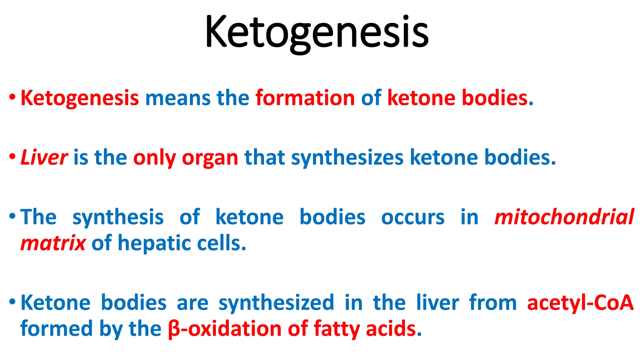 Ketogenesis Occurs In