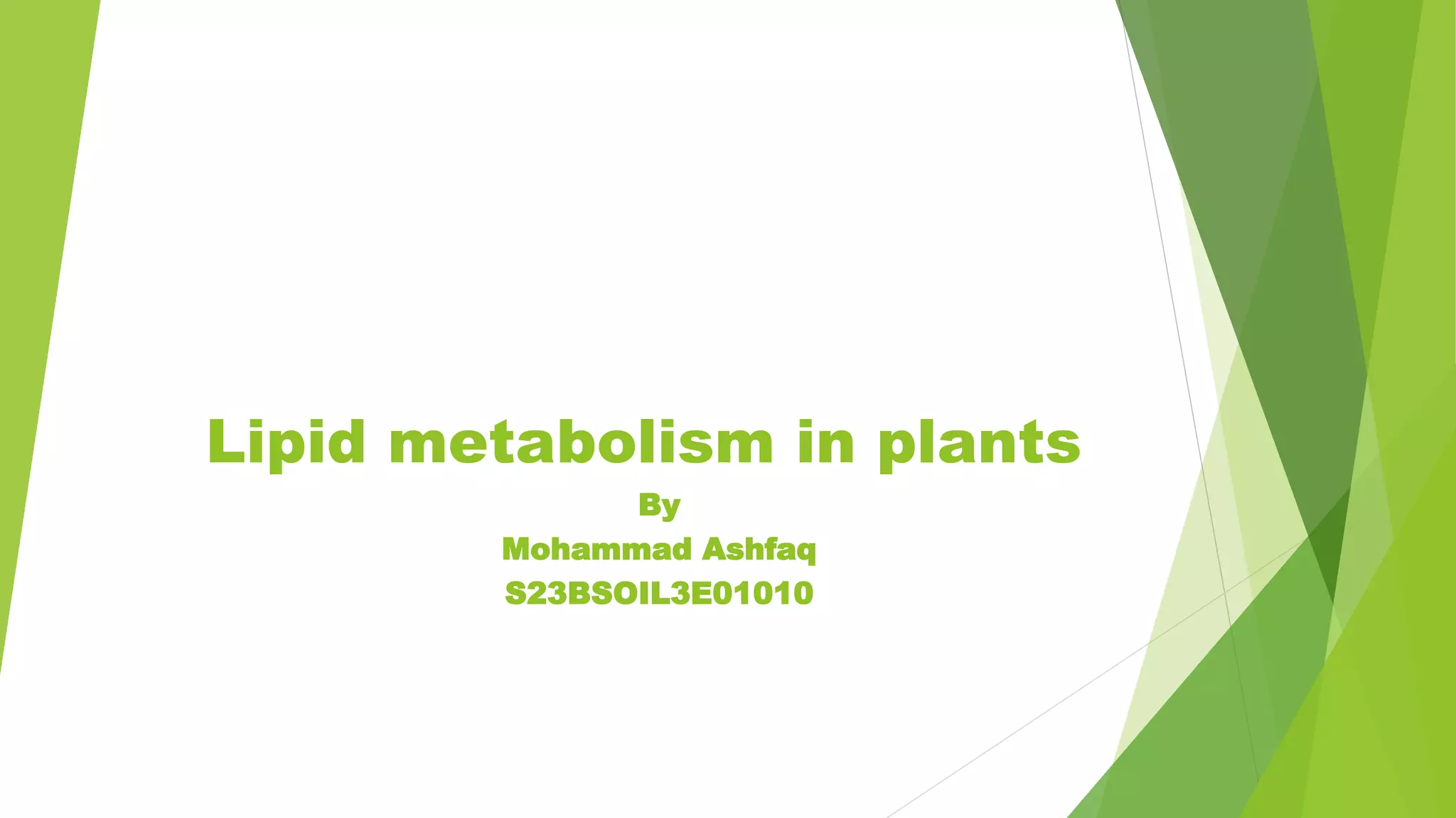 Lipid metabolism in plants.pptx